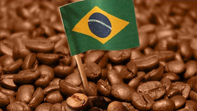 ♦️ Café de Brasil en granos ♦️ LA JOYA DEL CAFÉ ♦️