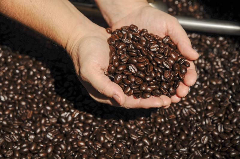 ☕ Granos de café Papua Nueva Guinea (PNG) ☕