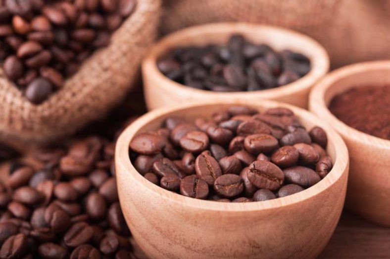 ️Los Mejores Café Torrefacto - LA JOYA DEL CAFÉ ️