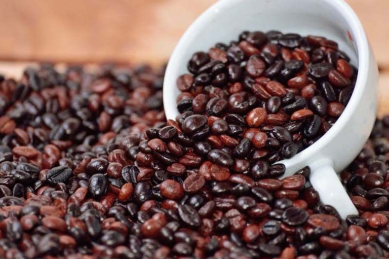 ️Los Mejores Café Torrefacto - LA JOYA DEL CAFÉ ️